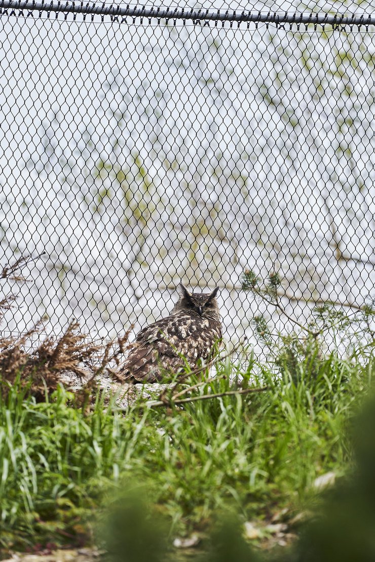 Webnet aviary in Goldau Zoo: Jakob Rope Systems